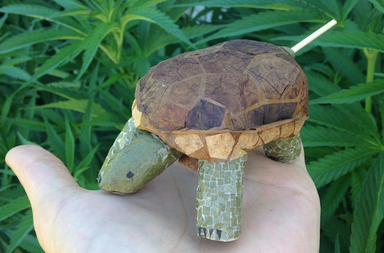 Yes, Joint Art Is A Thing And These Creations Are Absolutely Incredible ...