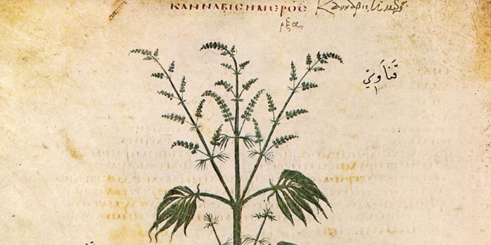 These Ancient Civilizations Loved Using Cannabis – Real Stoned Times