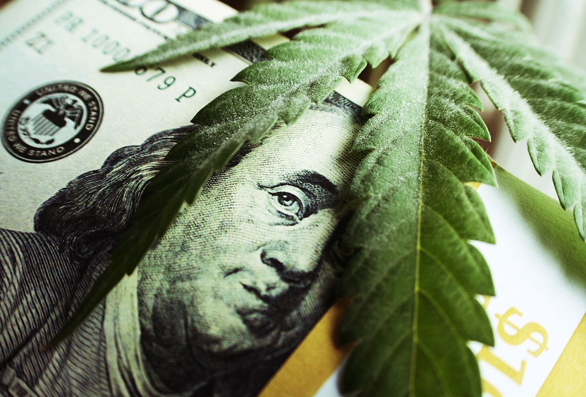How To Choose Pot Stocks For My Portfolio – Real Stoned Times