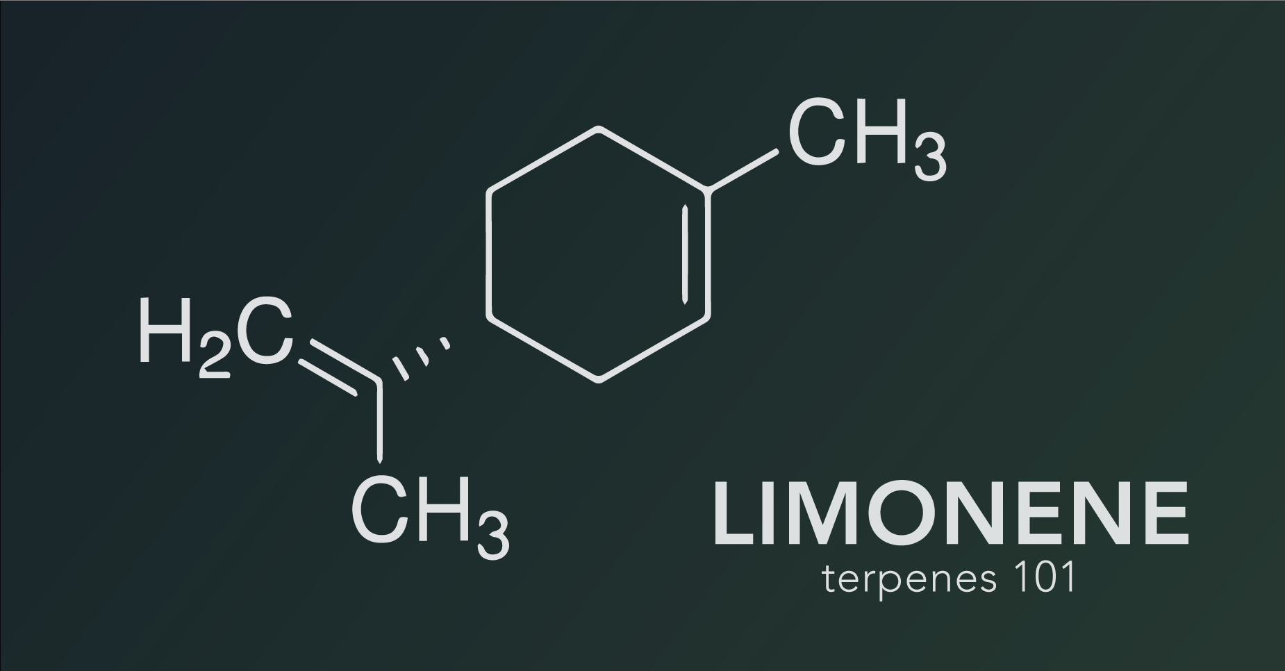 Terpenes 101: What is Limonene? – Real Stoned Times